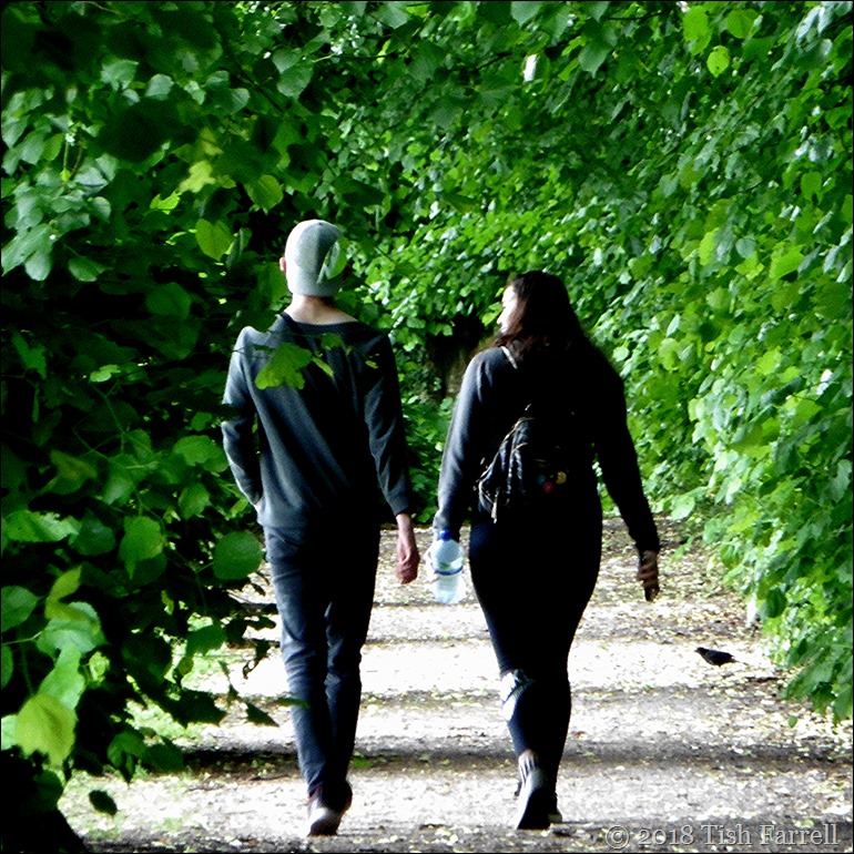 The Linden Walk ~ A Leafy Arcade – Tish Farrell