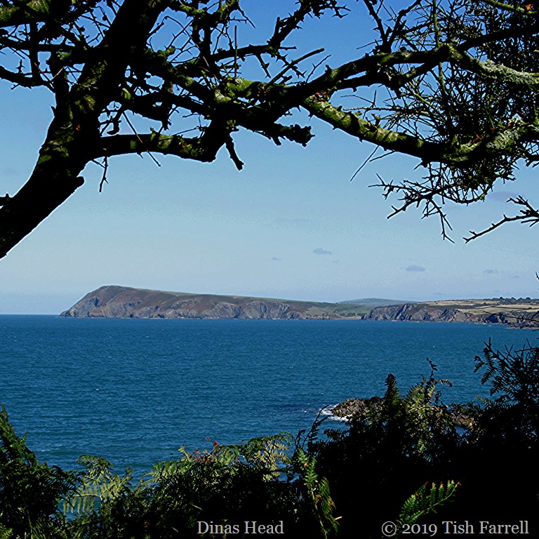 A Line Of Defence ~ Fishguard Fort – Tish Farrell